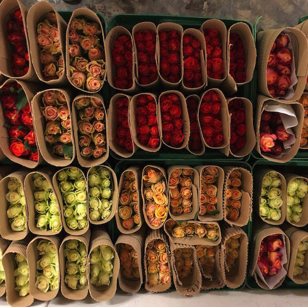 69 kWp Schwimmende Solaranlage - Rift Valley Roses