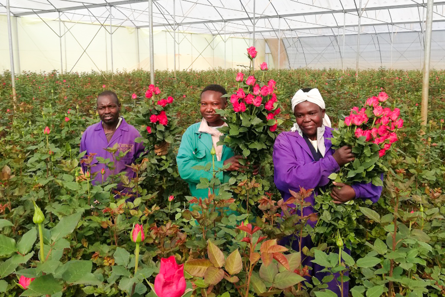 180 kWp Solaranlage - Zena Sosiani